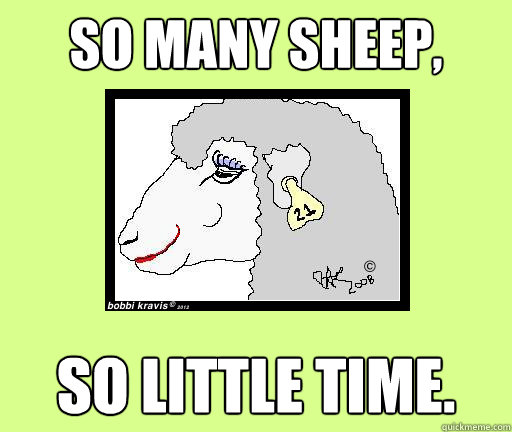 So Many Sheep, So Little Time. - sheila the ruminating sheep - quickmeme
