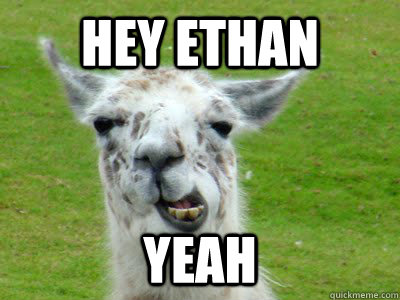 Hey Ethan YEAH - Yeah Llama - quickmeme