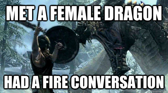 MET A FEMALE DRAGON HAD A FIRE CONVERSATION - Misc - quickmeme