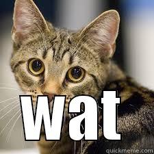 wat yeah say - quickmeme