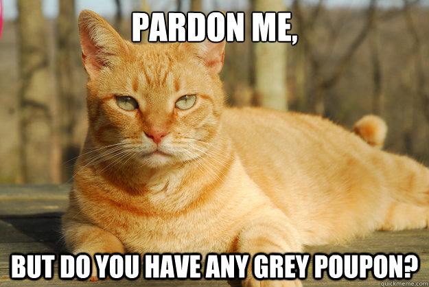 Pardon Me, but do you have any grey poupon? - Civilized Kitty - quickmeme