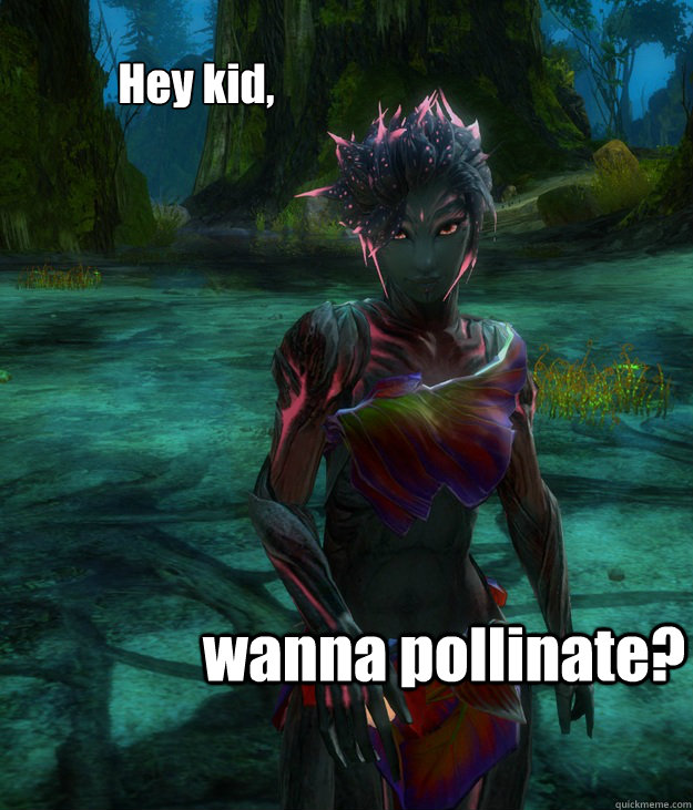 Hey kid, wanna pollinate? - Sexy Sylvari - quickmeme