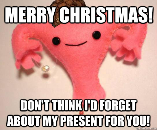merry christmas! don't think i'd forget about my present for you! - Misc - quickmeme