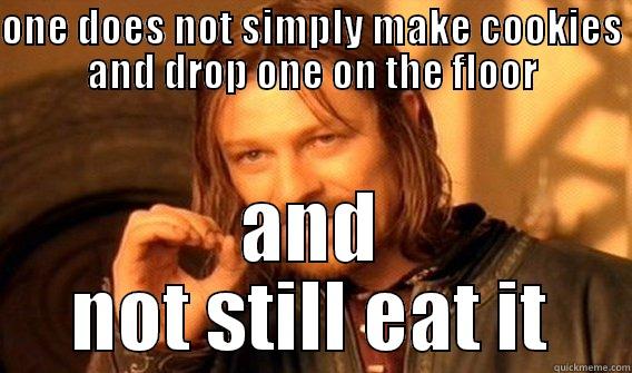 One does not simply make cookies and drop it on the floor and not still eat it - quickmeme