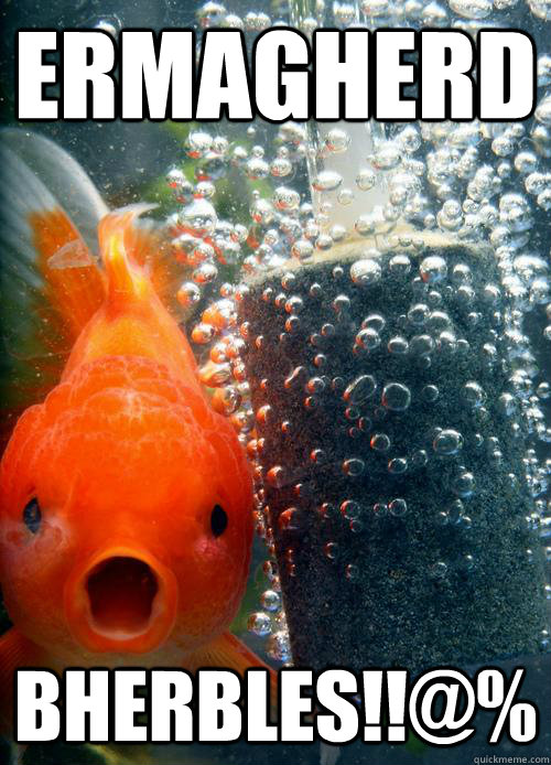 Surprised Fish memes | quickmeme