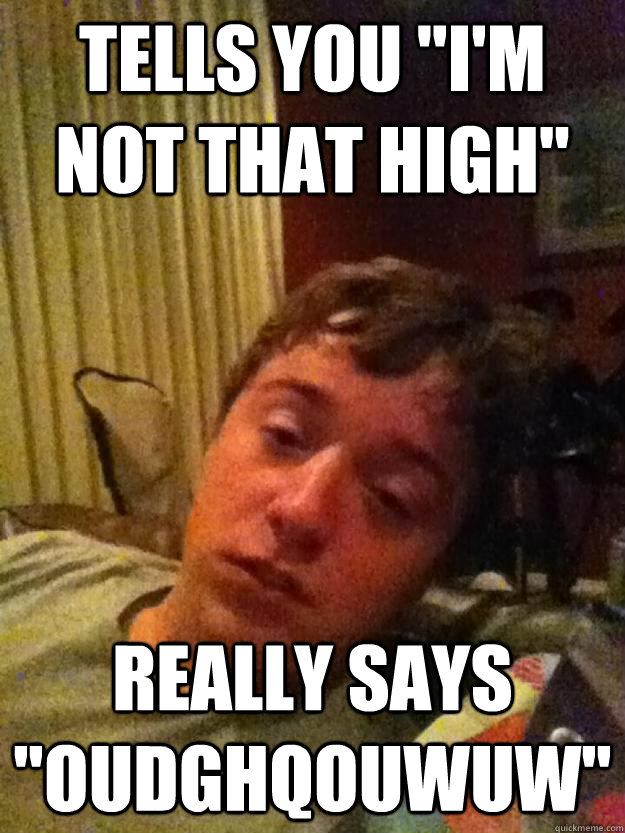 Tells you "i'm not that high" Really says "oudghqouwuw" - Extremely stoned stoner - quickmeme