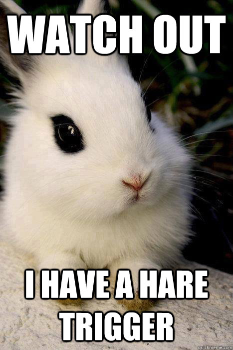 watch out i have a hare trigger - Misc - quickmeme