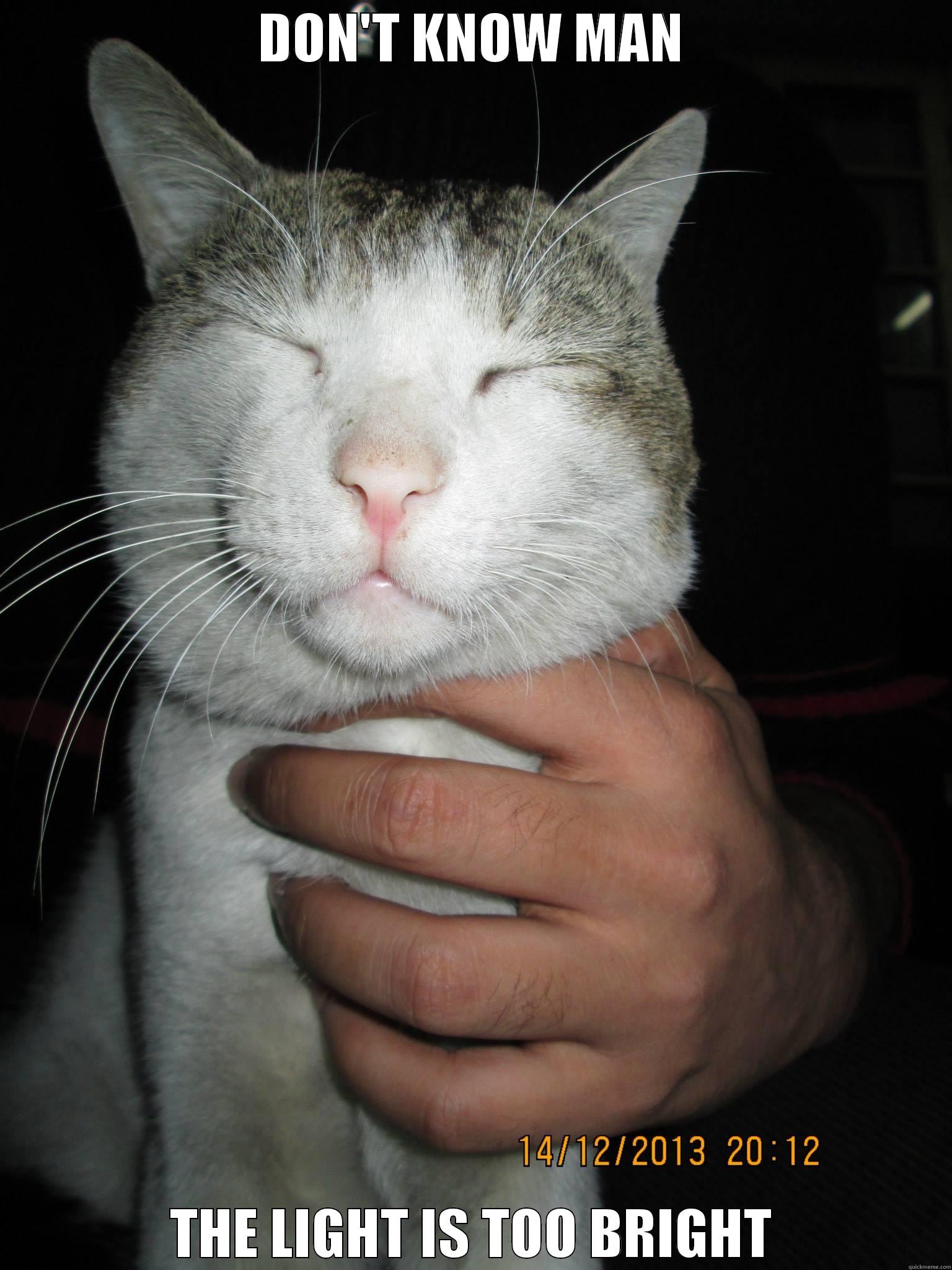 OPPA KITTY STYLE - quickmeme