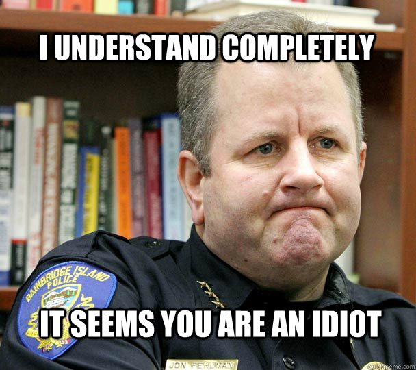 I understand completely It seems you are an idiot - Pensive Officer - quickmeme