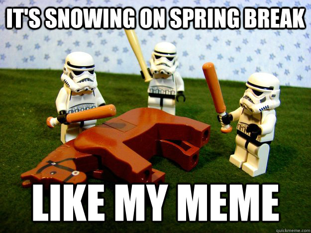 It's snowing on Spring Break Like my meme - Misc - quickmeme