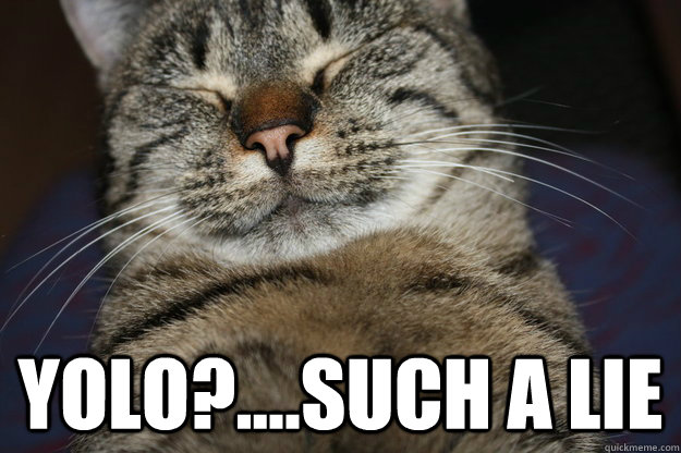 YOLO? YOLNT. - Yolo Cat - quickmeme