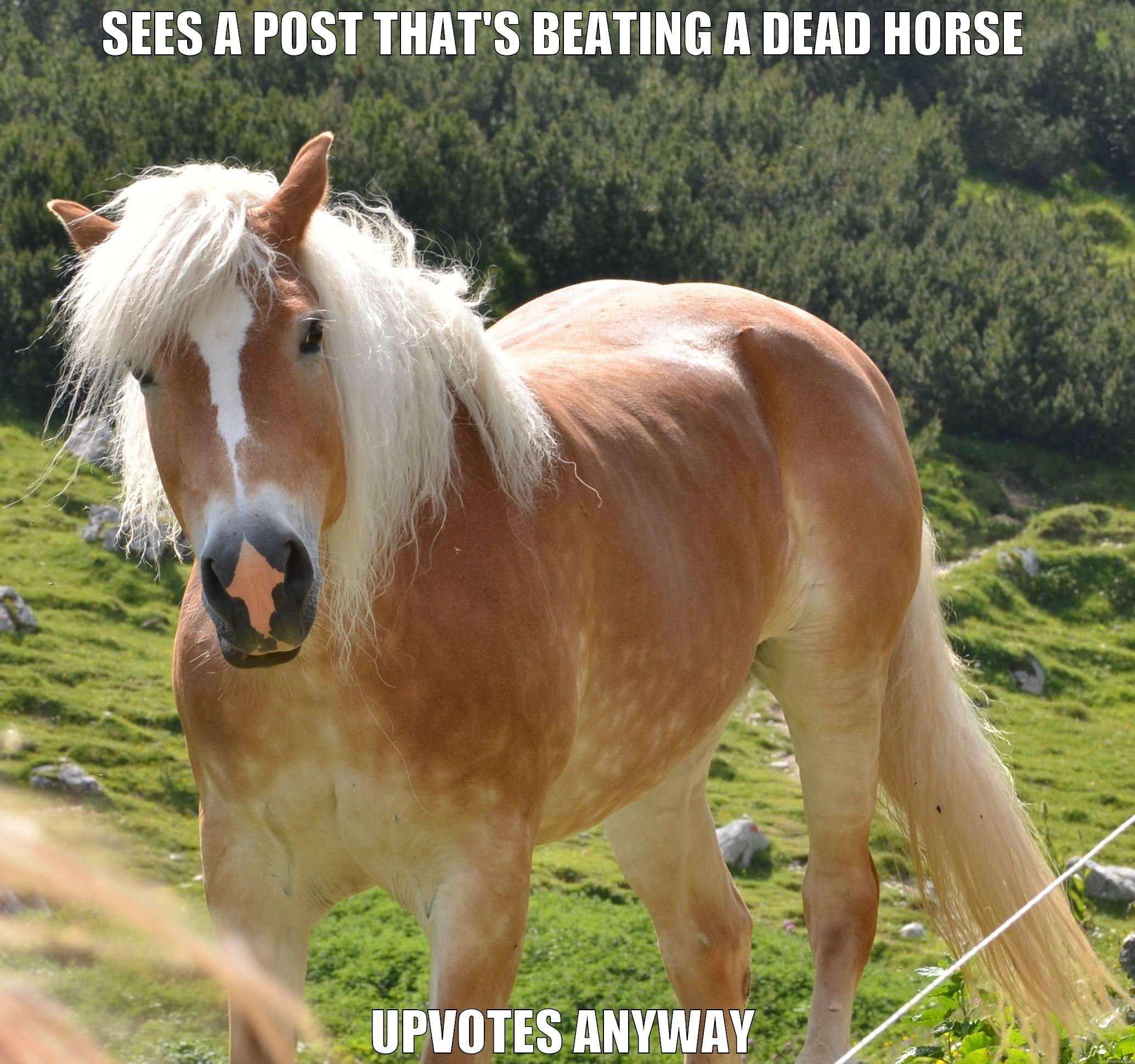 Upvote Horse! - quickmeme