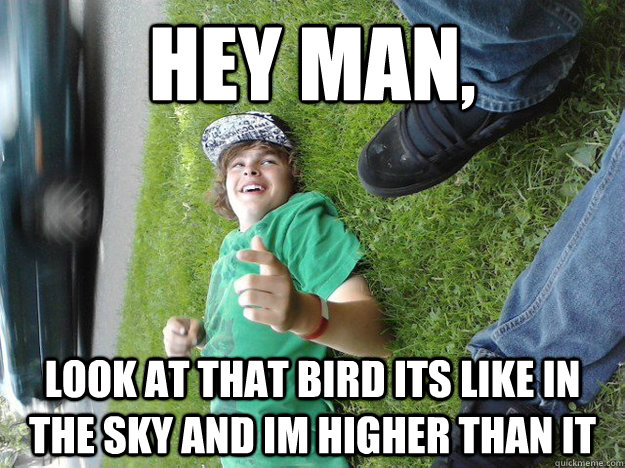 Hey man, look at that bird its like in the sky and im higher than it - lol aj - quickmeme