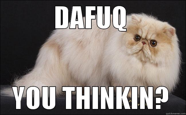 Dafuq Cat - quickmeme