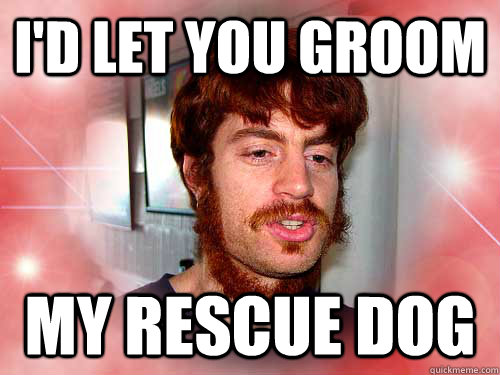 I'd let you groom my rescue dog - Romantic Neckbeard - quickmeme