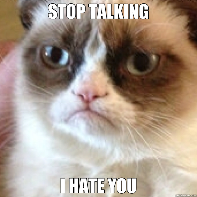 STOP TALKING I HATE YOU - Misc - quickmeme