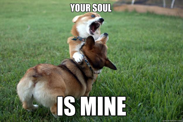 Your soul is mine - Soul Sucking Corgi - quickmeme