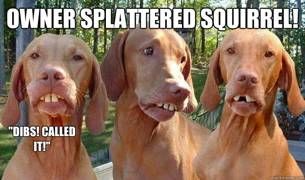 Owner Splattered Squirrel! "DIBS! Called it!" - Hill Billly Dogs - quickmeme