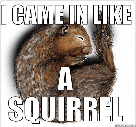 MILEY CIRUS - quickmeme