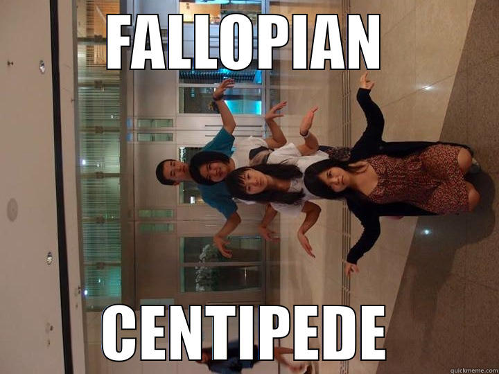 Fallopian Centipede - quickmeme