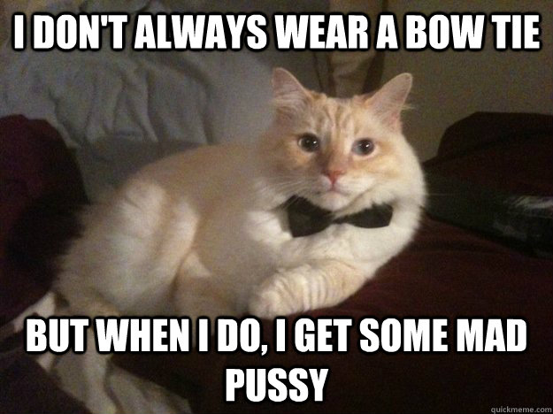 I Dont Always Wear A Bow Tie But When I Do I Get Some Mad Pussy The Most Interesting Cat In