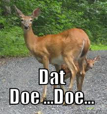 Dat Doe...Doe - quickmeme