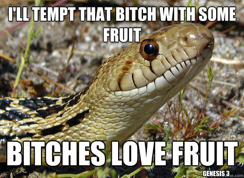 I'll tempt that bitch with some fruit Bitches love fruit Genesis 3 - Misc - quickmeme