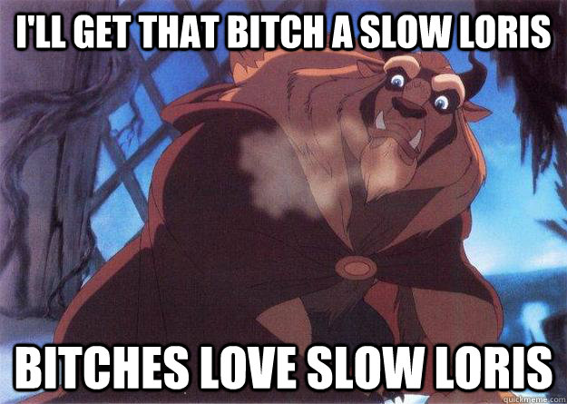 I'll get that bitch a slow loris bitches love slow loris - Misc - quickmeme