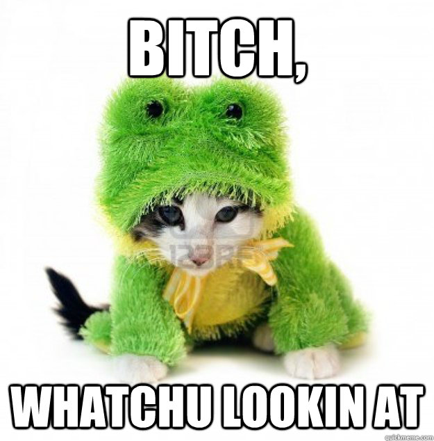 sassy cat memes | quickmeme