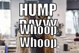 OHYEAHHH camel face awww yeah - quickmeme