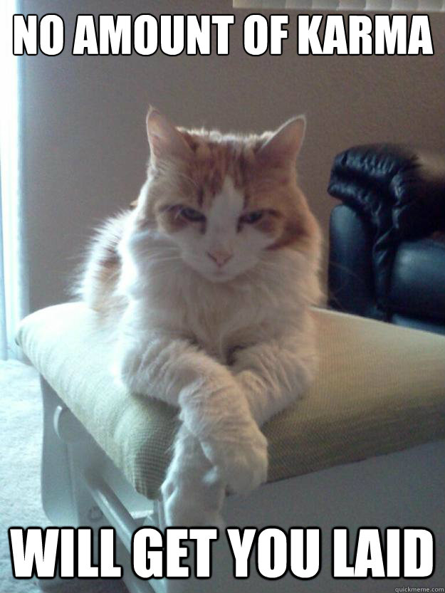 Hard Truth Cat memes | quickmeme