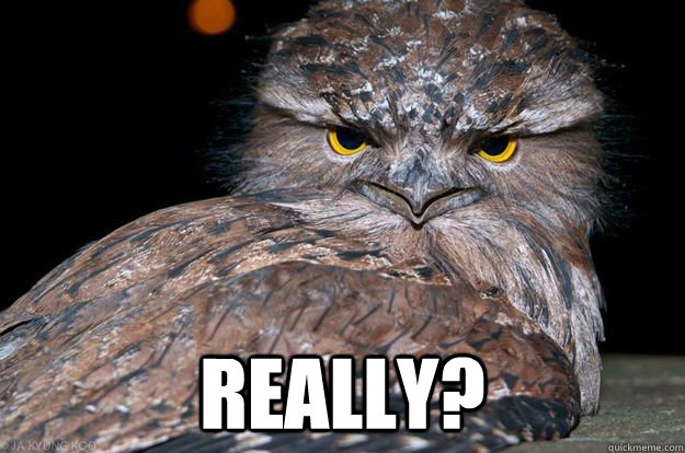 Your favorite song is "losing my religion" by "glee"? - Judgemental Owl - quickmeme