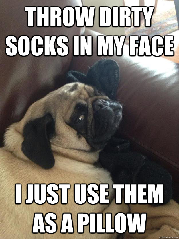 Throw dirty socks in my face i just use them as a pillow - sreepy pug - quickmeme