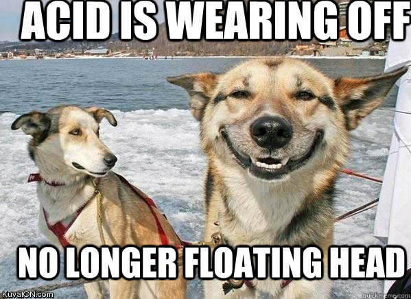 ACID IS WEARING OFF No longer floating head - Misc - quickmeme