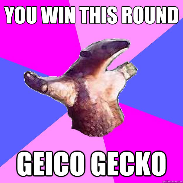 You win this round geico gecko - Property Damage Anteater - quickmeme