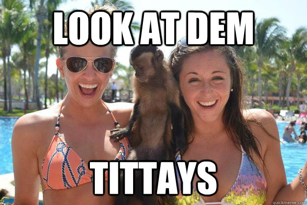 Look at dem tittays - Misc - quickmeme