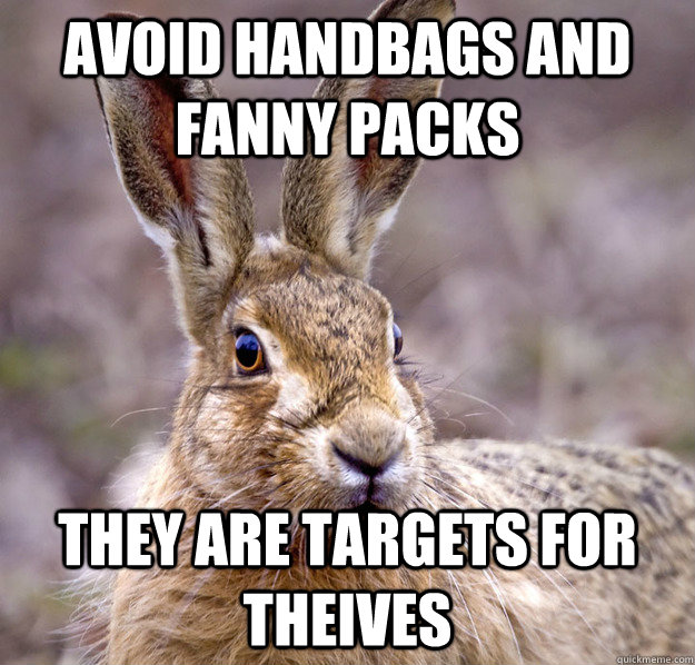 Avoid handbags and fanny packs they are targets for theives - Travel Safety Advice Hare - quickmeme