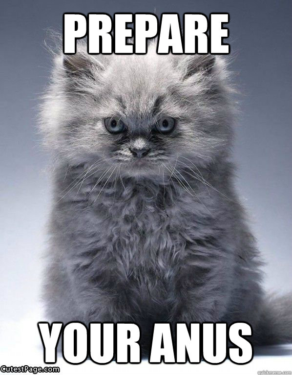 Prepare your anus - Anus Cat - quickmeme