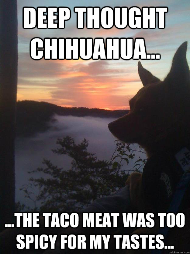 Deep Thought Chihuahua memes | quickmeme