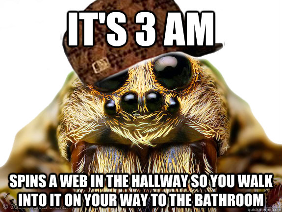 it's 3 am spins a web in the hallway so you walk into it on your way to the bathroom - Scumbag ...