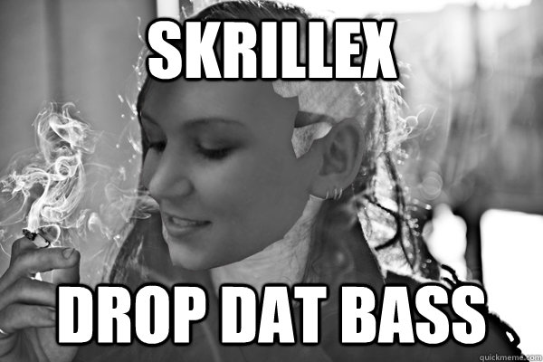 Skrillex Drop dat bass - Sarillex - quickmeme