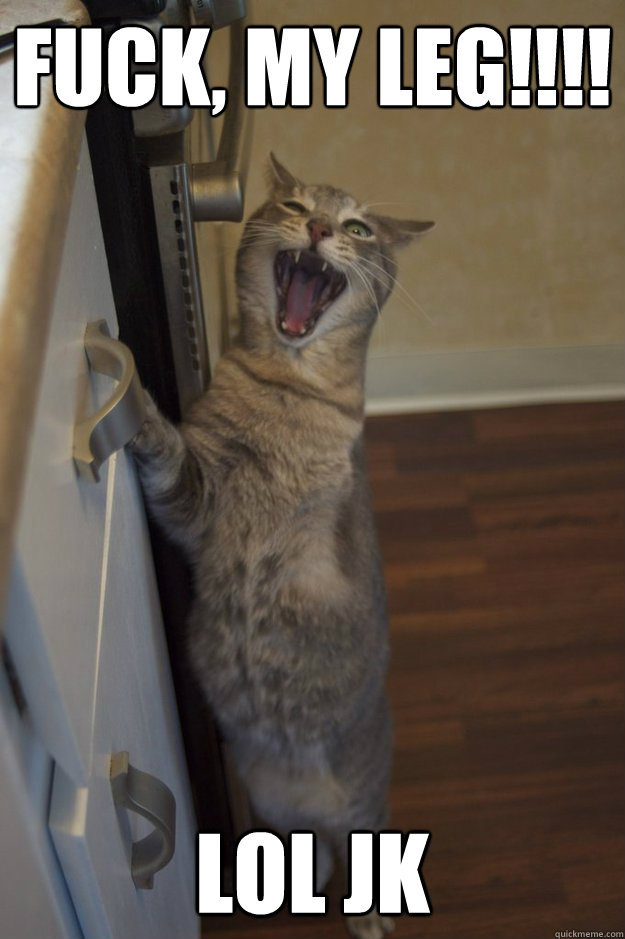 FUCK, MY LEG!!!! LOL JK - Misc - quickmeme