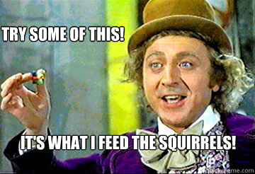 Try some of this! It's what I feed the squirrels! - Stoner Willy Wonka - quickmeme