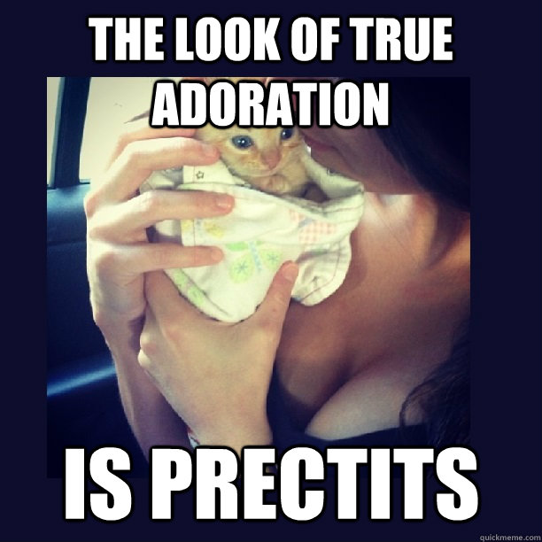 The look of True Adoration Is Prectits - Misc - quickmeme