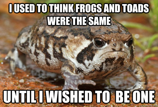 i used to think frogs and toads were the same until i wished to be one - Misc - quickmeme