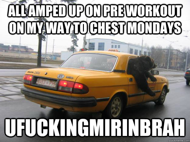 all amped up on pre workout on my way to chest mondays UFUCKINGMIRINBRAH - Taxi Bear - quickmeme