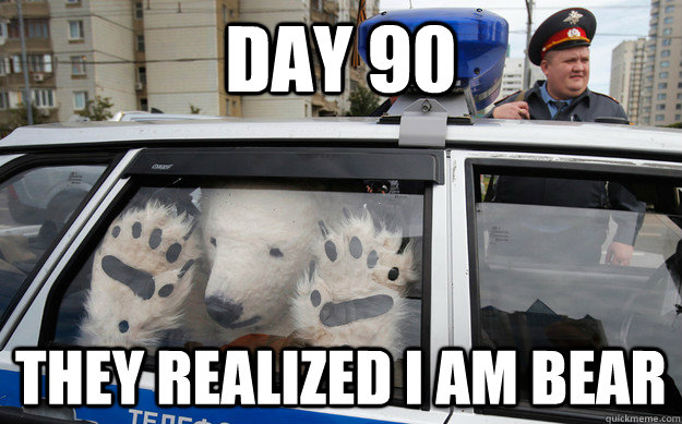 Day 90 They realized i am bear - Misc - quickmeme