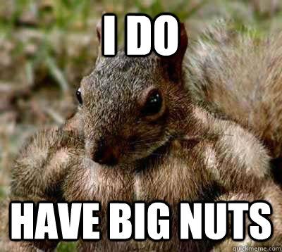 I do have big nuts - Misc - quickmeme