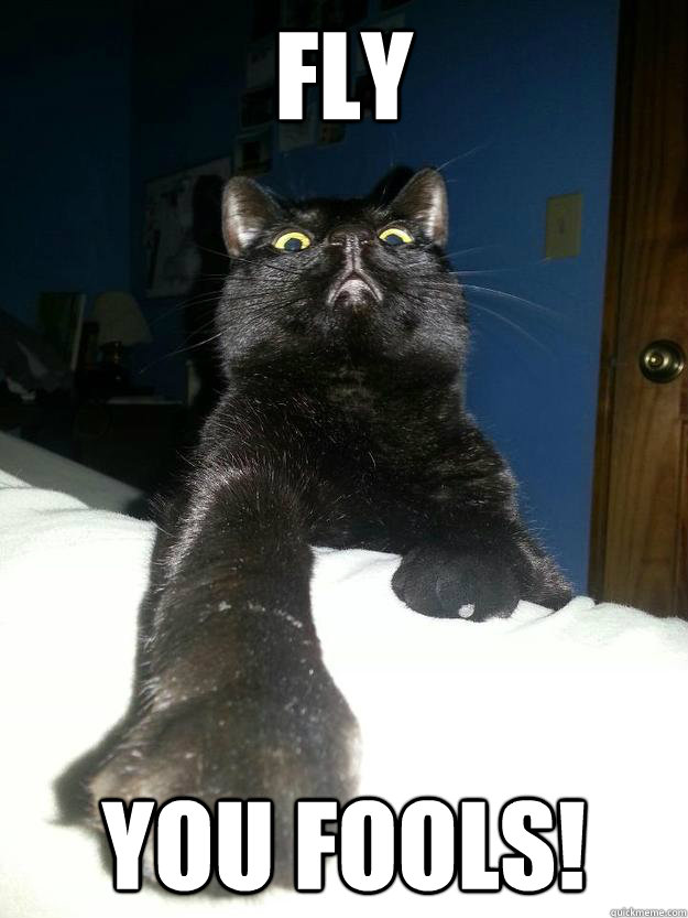 FLY YOU FOOLS! - Fly, You Fools! - quickmeme