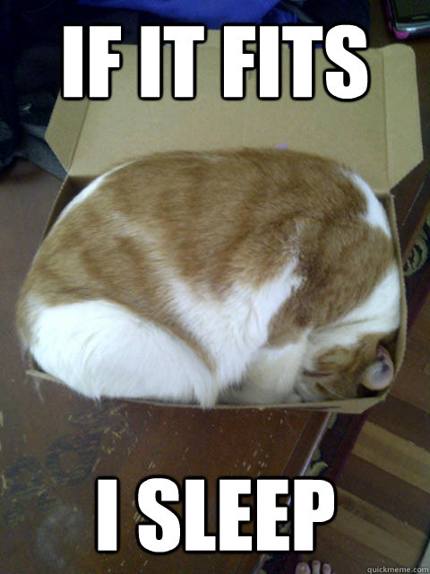 If it fits I sleep - Misc - quickmeme
